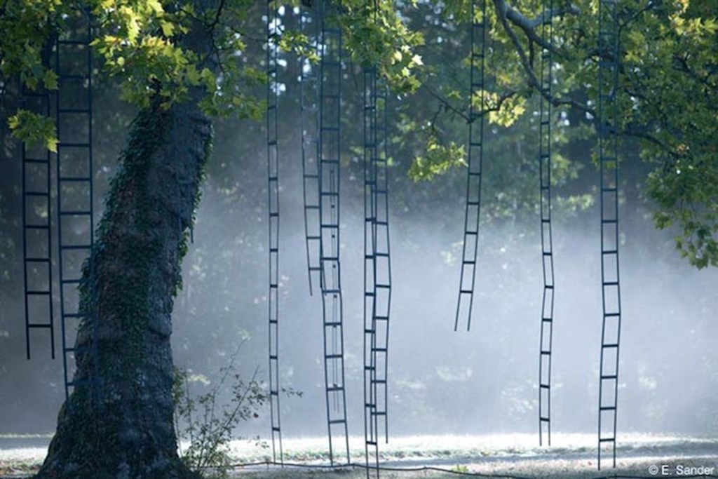 Ladders Tree - LUXUO