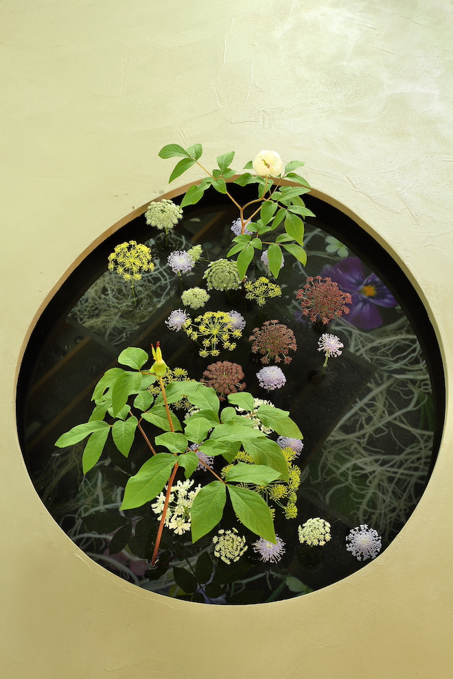 Van Cleef & Arpels Celebrates Spring With “LIGHT OF FLOWERS” Exhibition